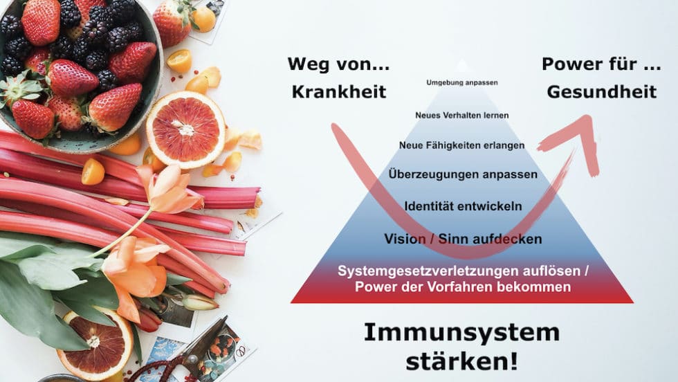 SEP #66: Ein starkes Immunsystem - der Schlüssel zur Gesundheit - Hanseatisches Institut